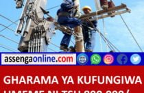 Fomu ya maombi ya umeme tanesco 2022 - assengaonline.com