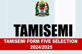 Tausi Portal | Tausi Portal Login (www.tausi.tamisemi.go.tz 2023 ...